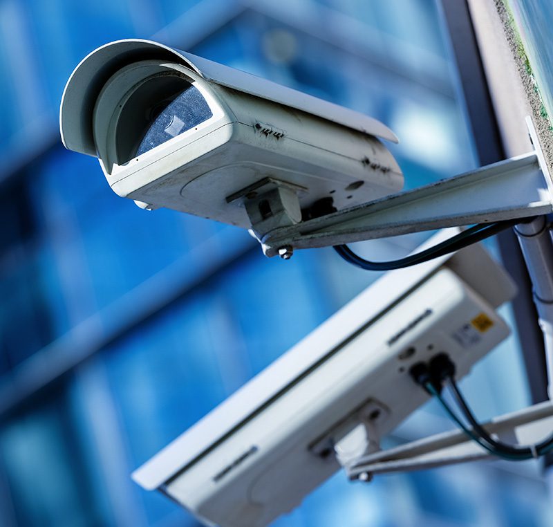 Video Camera Systems From Fresh Mango For 24 7 Surveillance Video Camera Systems From Fresh Mango For 24 7 Surveillance